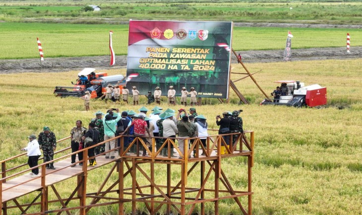 Panen Raya Serentak Optimasi Lahan di Merauke: Komitmen Nyata Menuju ...
