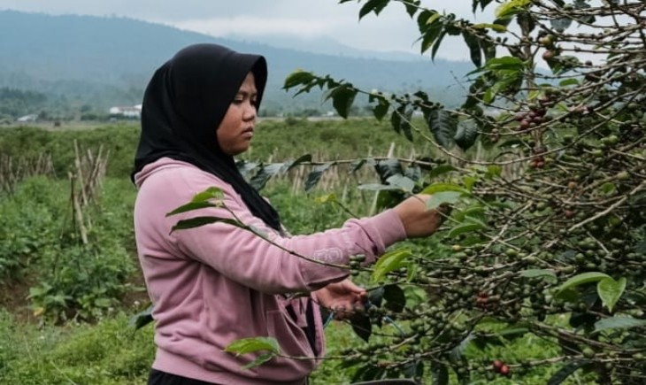 Dana Nusantara, Harapan Baru Petani Kopi Desa Ibun Bandung