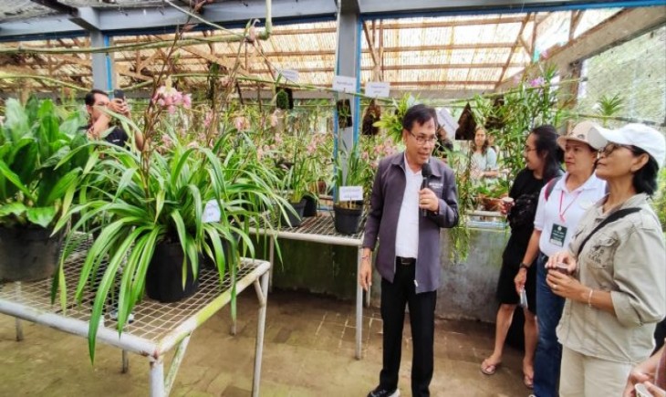 Balai Benih Hortikultura di Bali Kembangkan Tanaman Anggrek