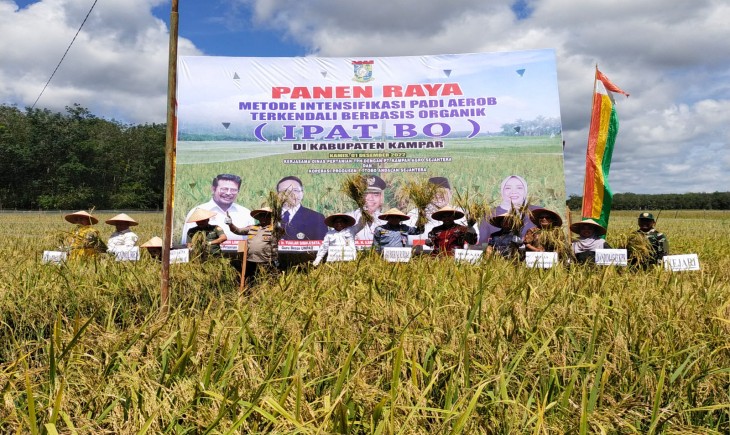 BPS Ingatkan Pentingnya Menjaga Stok Pangan Saat Panen Raya