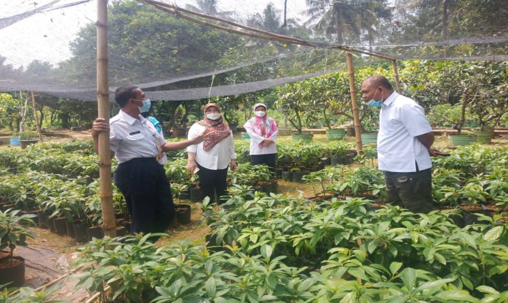 Alpukat Varietas Cipedak dikembangkan pada Kampung Hortikultura di Cianjur