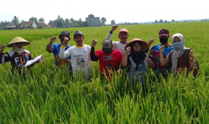 Refleksi Perjalanan Panjang 35 Tahun PHT di Indonesia